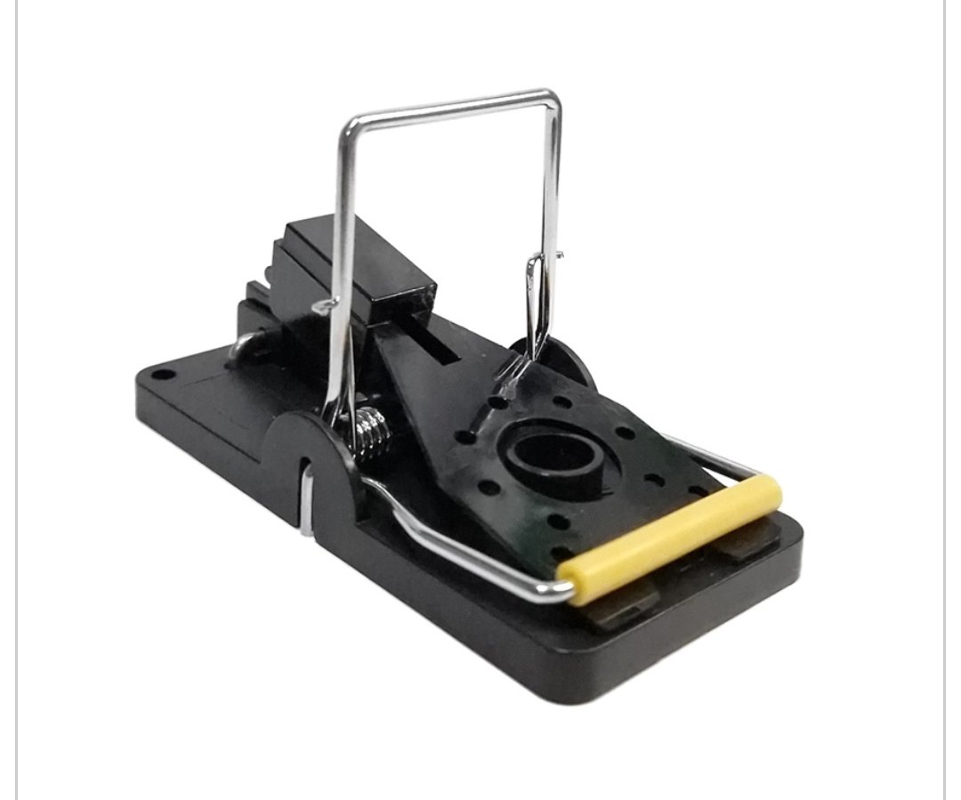 Mouse Snap Trap – Eva Pest Products